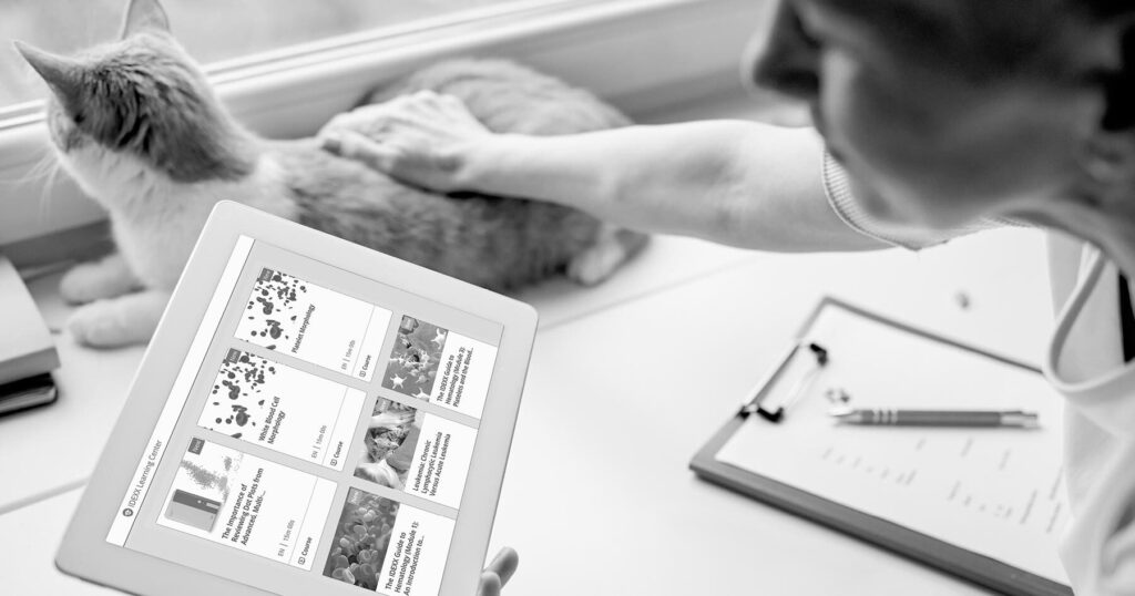 Case Studies » Aspiritech